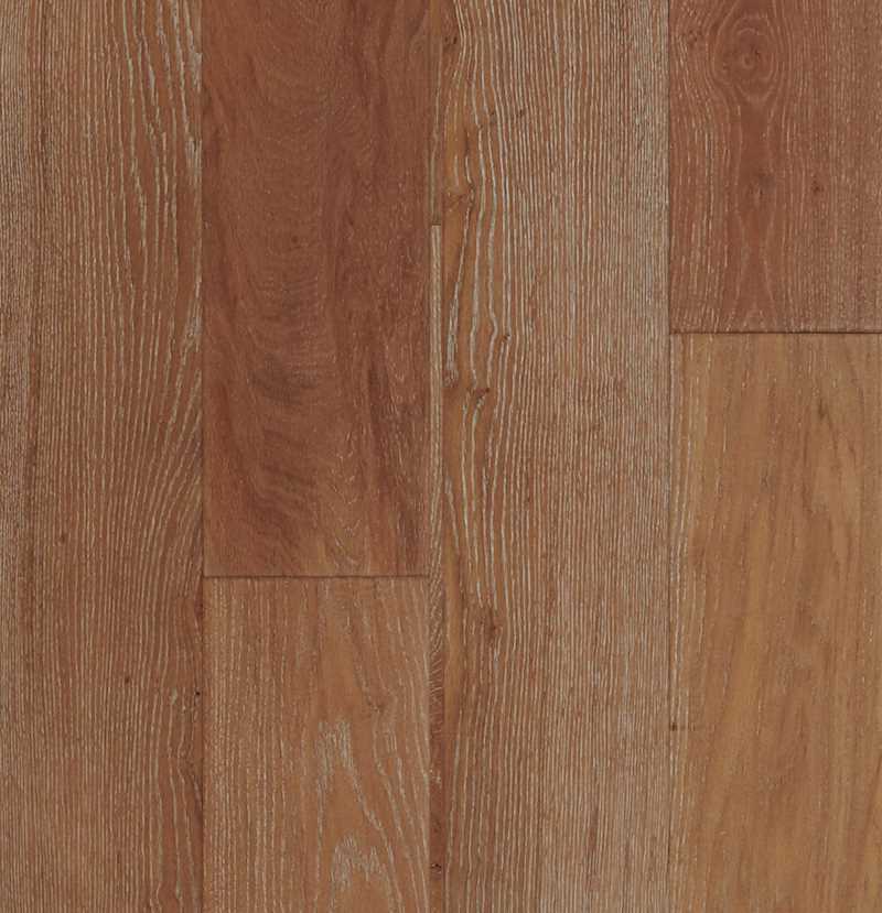 Revel Woods Studio - Gold