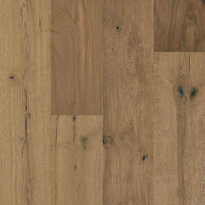 Revel Woods - The Finger Lakes Collection